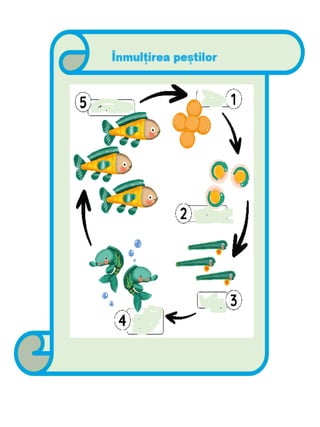 Harta proiectului Animale marine-GRUPA MARE.docx