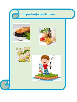 Harta proiectului Animale marine-GRUPA MARE.docx