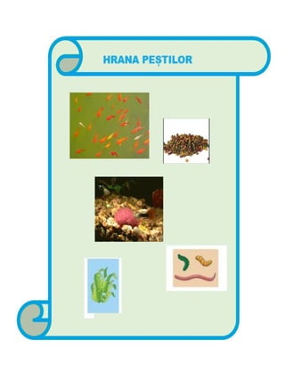 Harta proiectului Animale marine-GRUPA MARE.docx