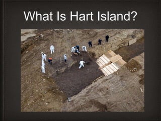 Where is Hart Island? What happens there? It's history? | PPT