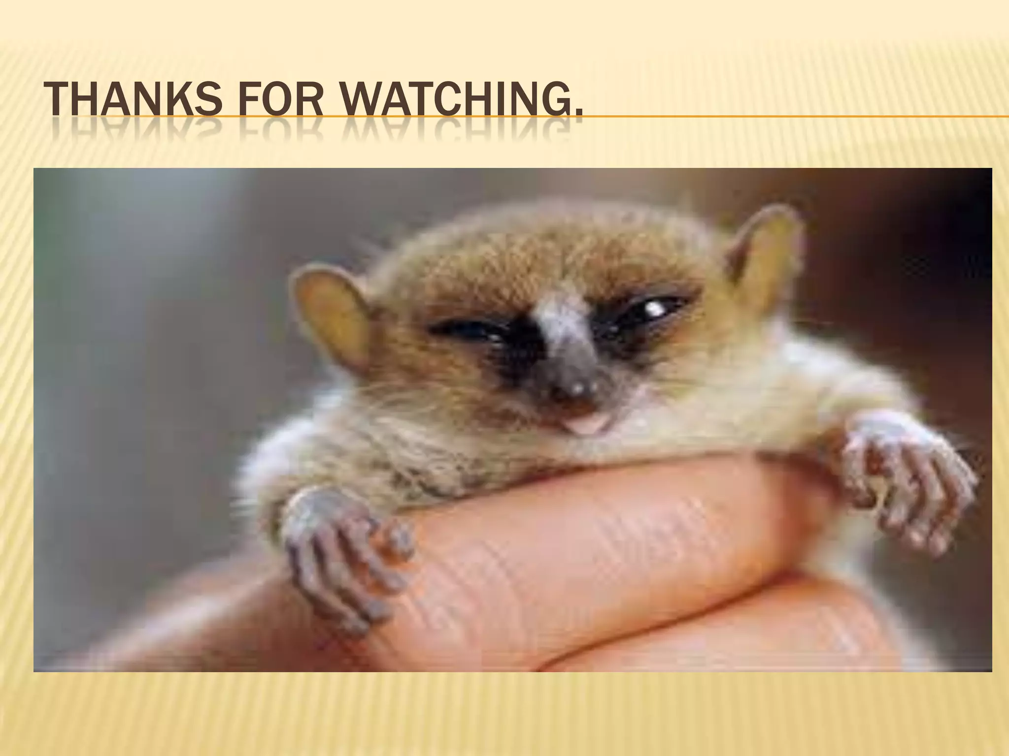 Hartman lemur | PPTX | Reptiles | Pets