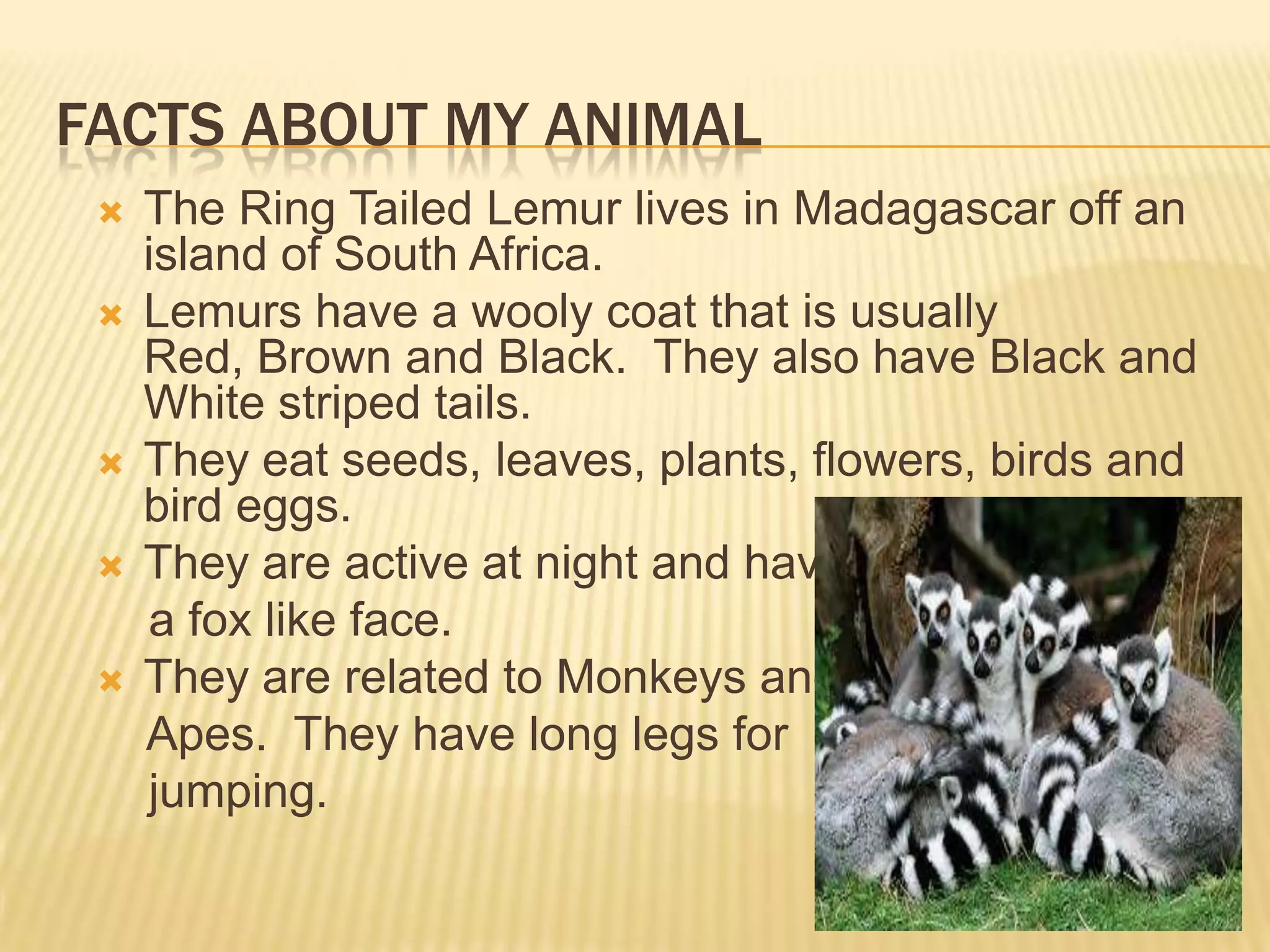 Hartman lemur | PPTX | Reptiles | Pets