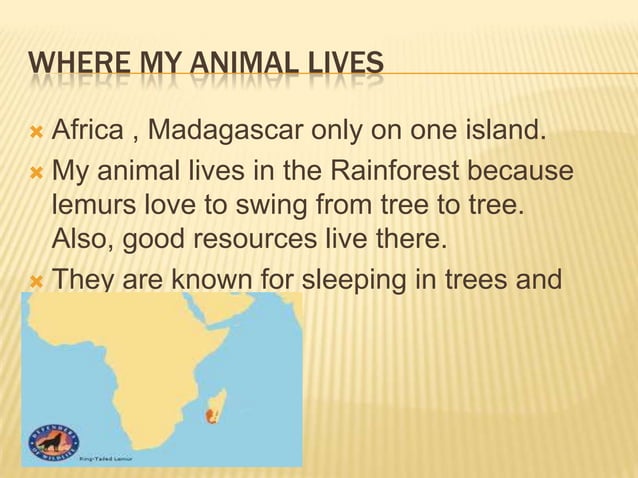 Hartman lemur | PPTX | Reptiles | Pets