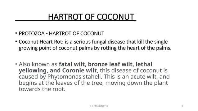 HARTROT OF COCONUT K R. pptx | PPTX