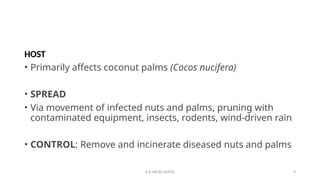 HARTROT OF COCONUT K R. pptx | PPTX