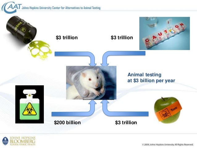 Animal Testing Costs Lot
