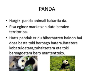 Hartz panda | PPT