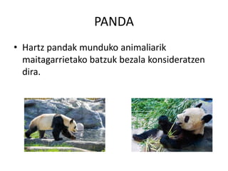 Hartz panda | PPT