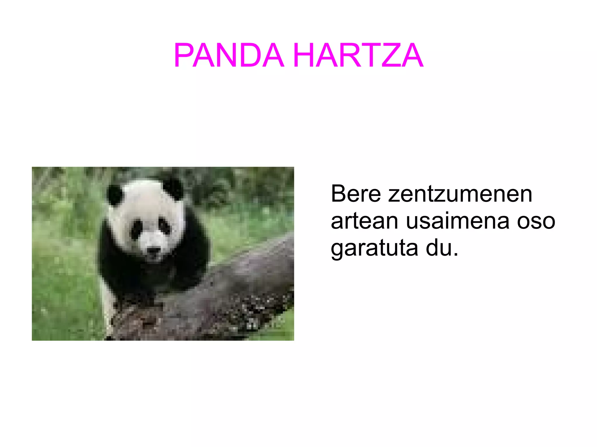 Hartz panda leire | ODP