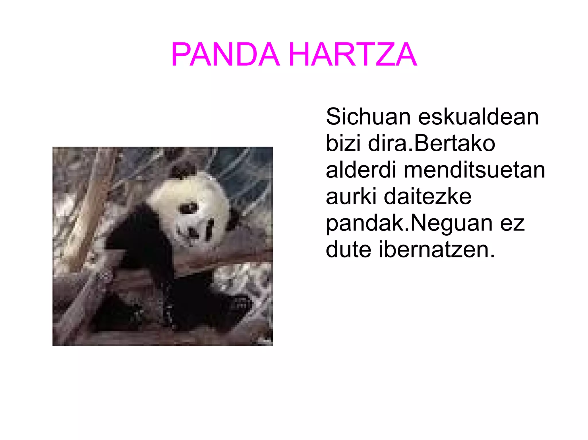 Hartz panda leire | ODP
