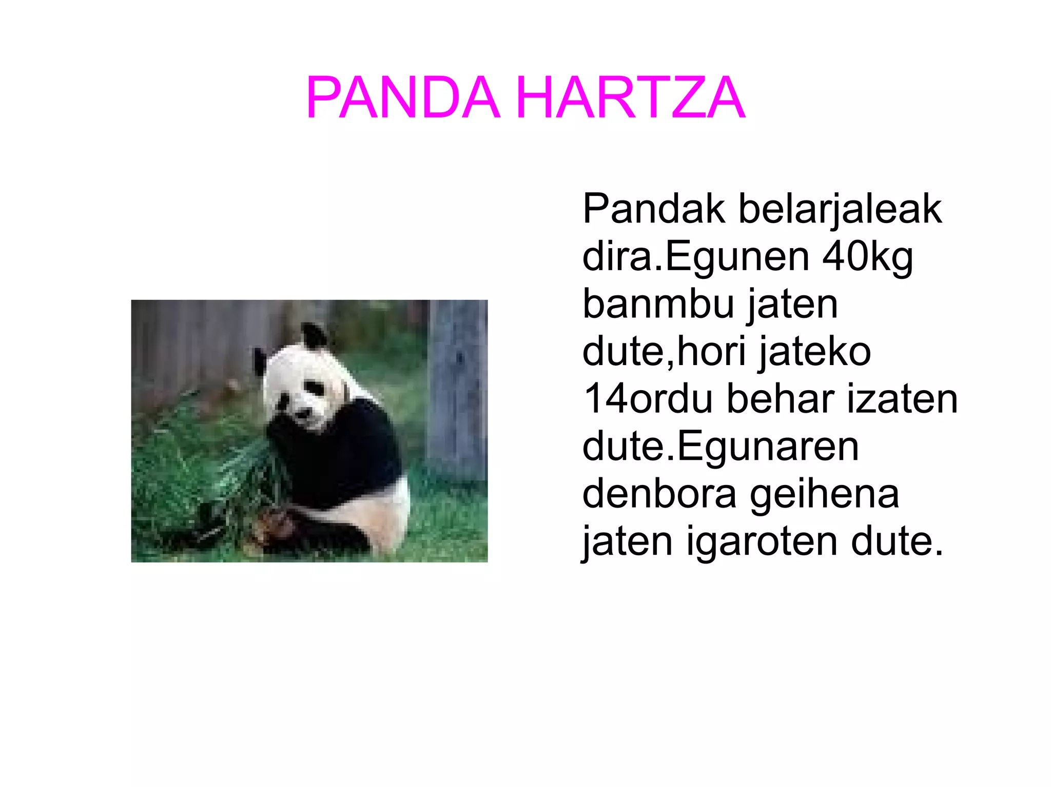 Hartz panda leire | ODP