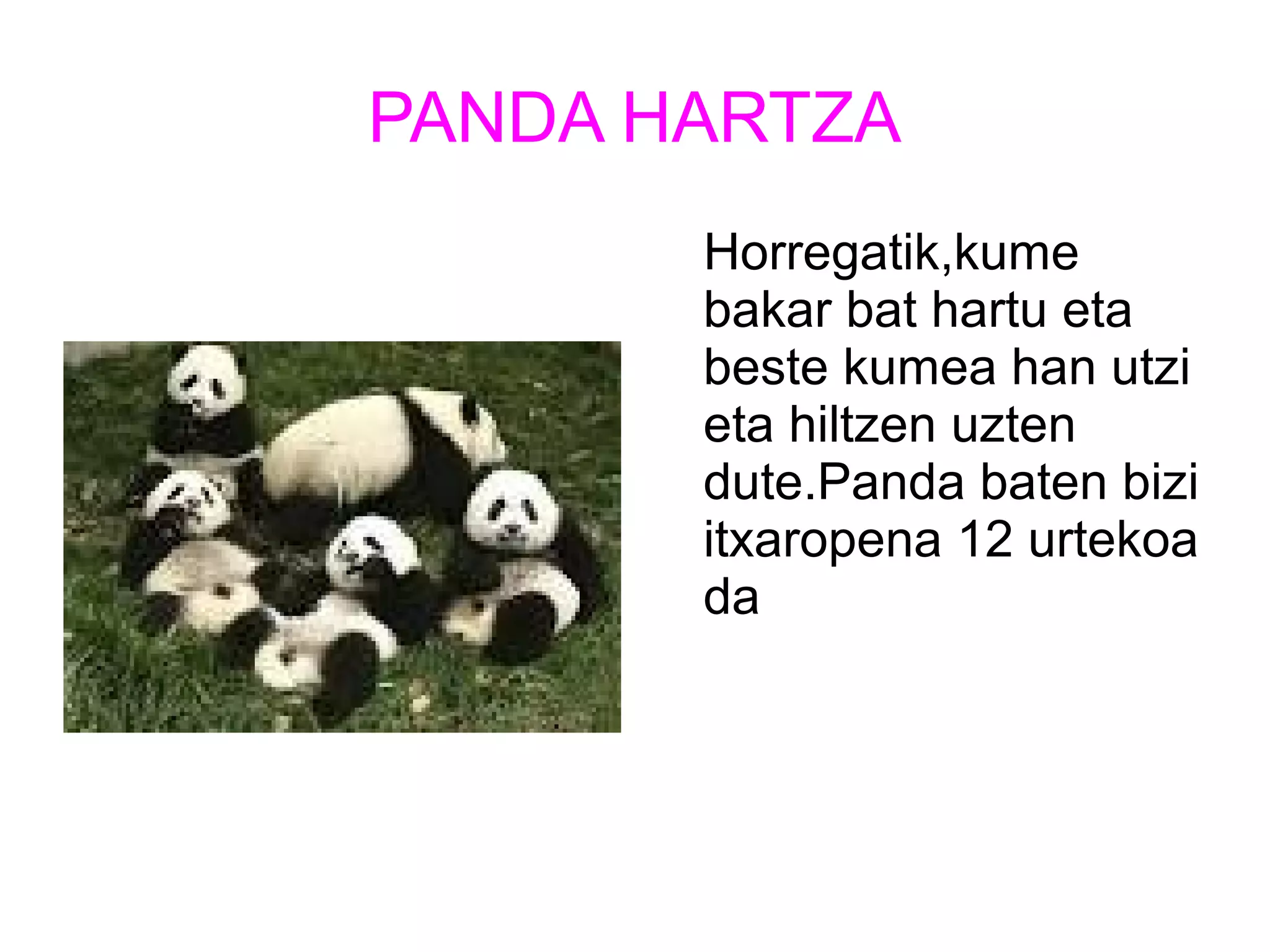 Hartz panda leire | ODP