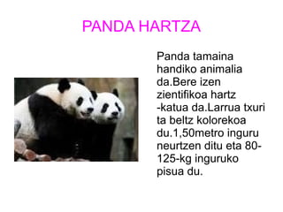 Hartz panda leire | ODP