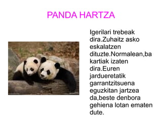 Hartz panda leire | ODP