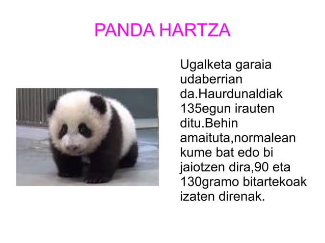Hartz panda leire | ODP