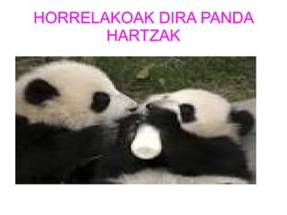 Hartz panda leire | ODP