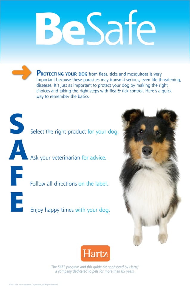 Hartz SAFE dog poster | PDF
