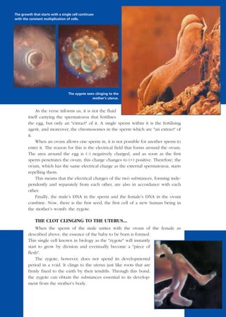Harun Yahya Islam For Men Of Understanding | PDF