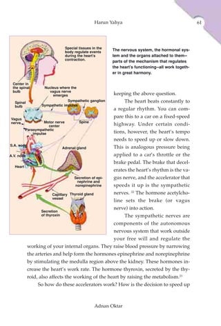 Harun Yahya Islam The Human Miracle | PDF