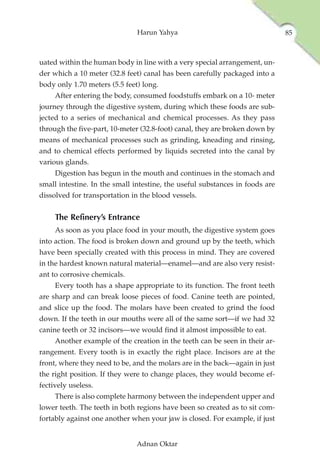 Harun Yahya Islam The Human Miracle | PDF