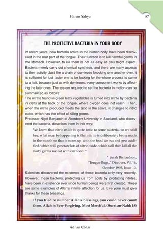 Harun Yahya Islam The Human Miracle | PDF