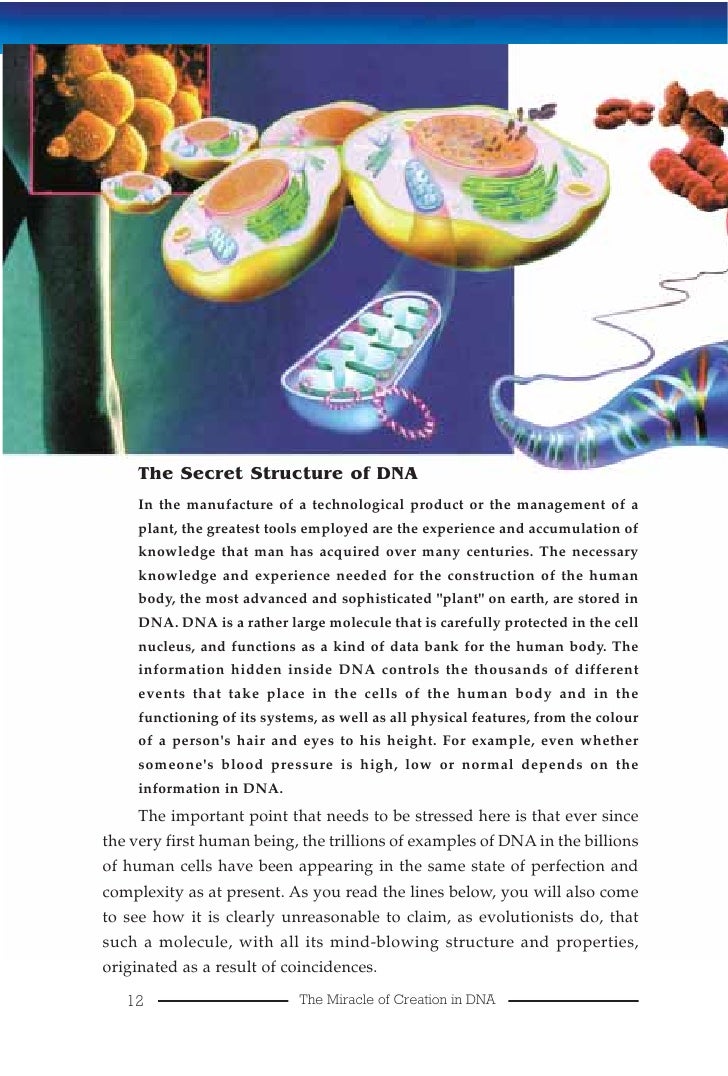 Harun Yahya Islam The Miracle Of Creation In Dna