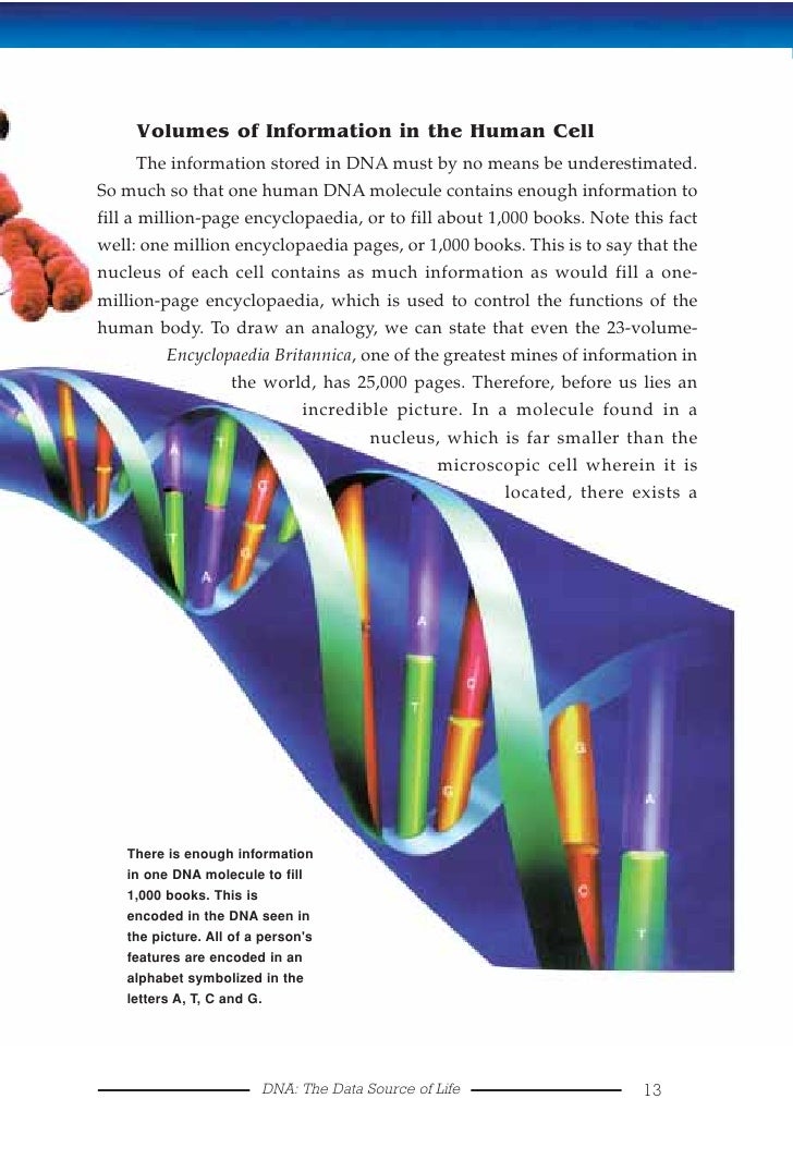 Harun Yahya Islam The Miracle Of Creation In Dna