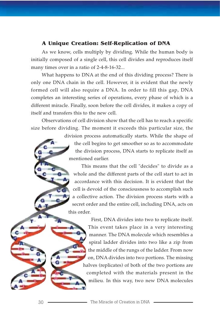 Harun Yahya Islam The Miracle Of Creation In Dna