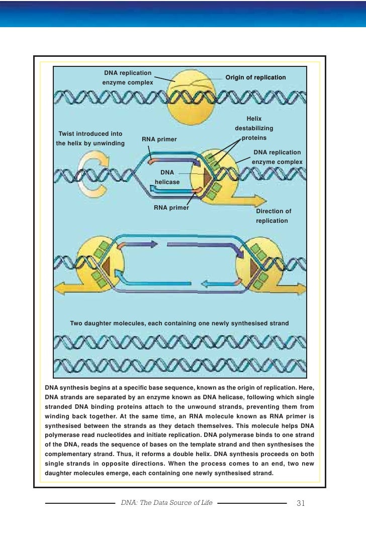 Harun Yahya Islam The Miracle Of Creation In Dna