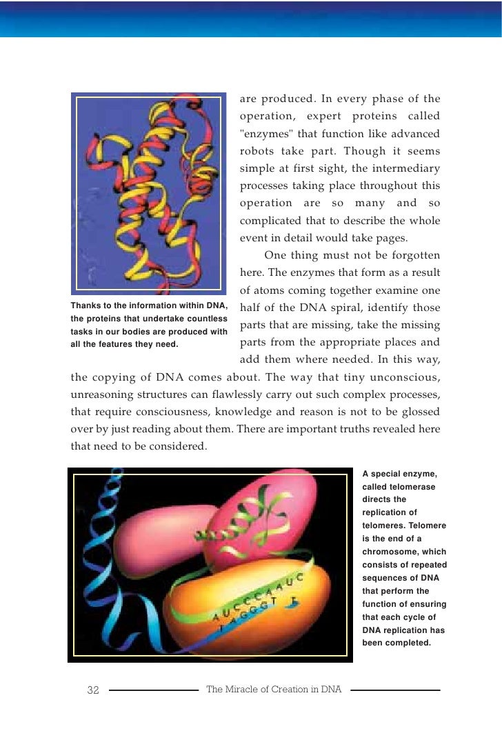 Harun Yahya Islam The Miracle Of Creation In Dna