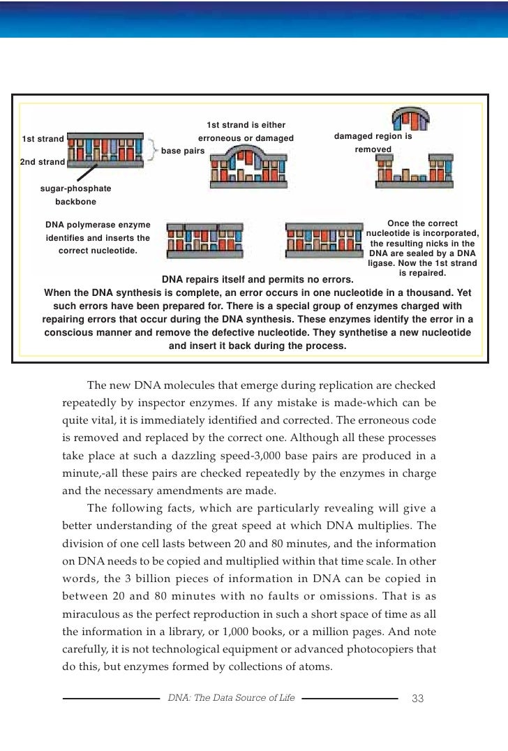 Harun Yahya Islam The Miracle Of Creation In Dna