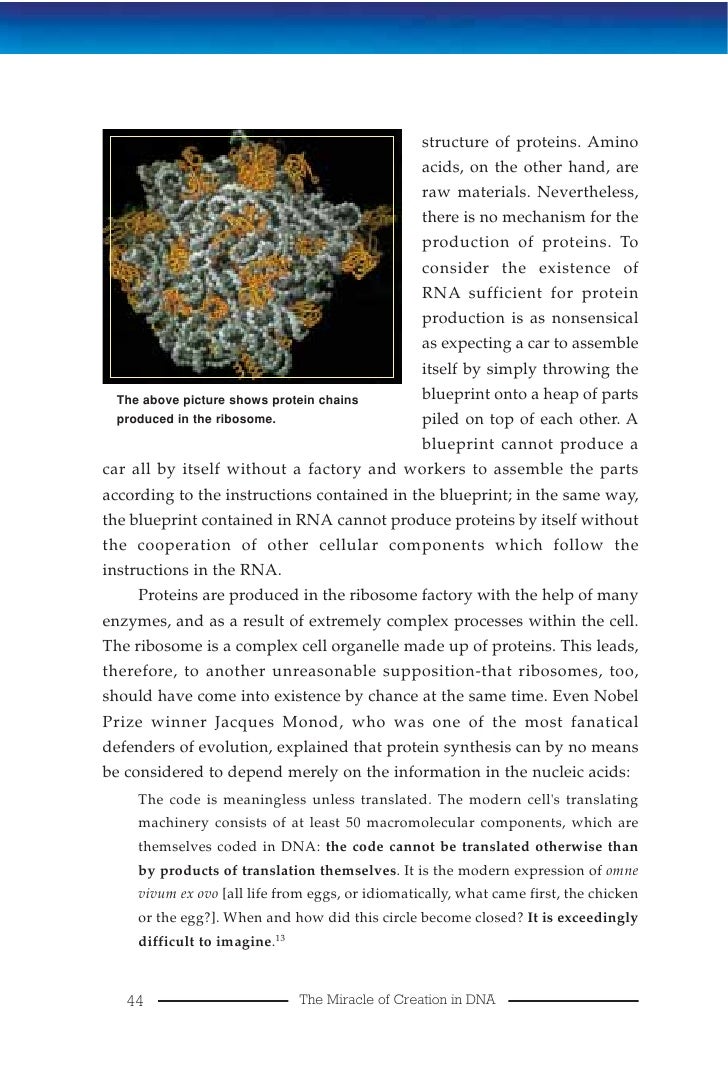 Harun Yahya Islam The Miracle Of Creation In Dna