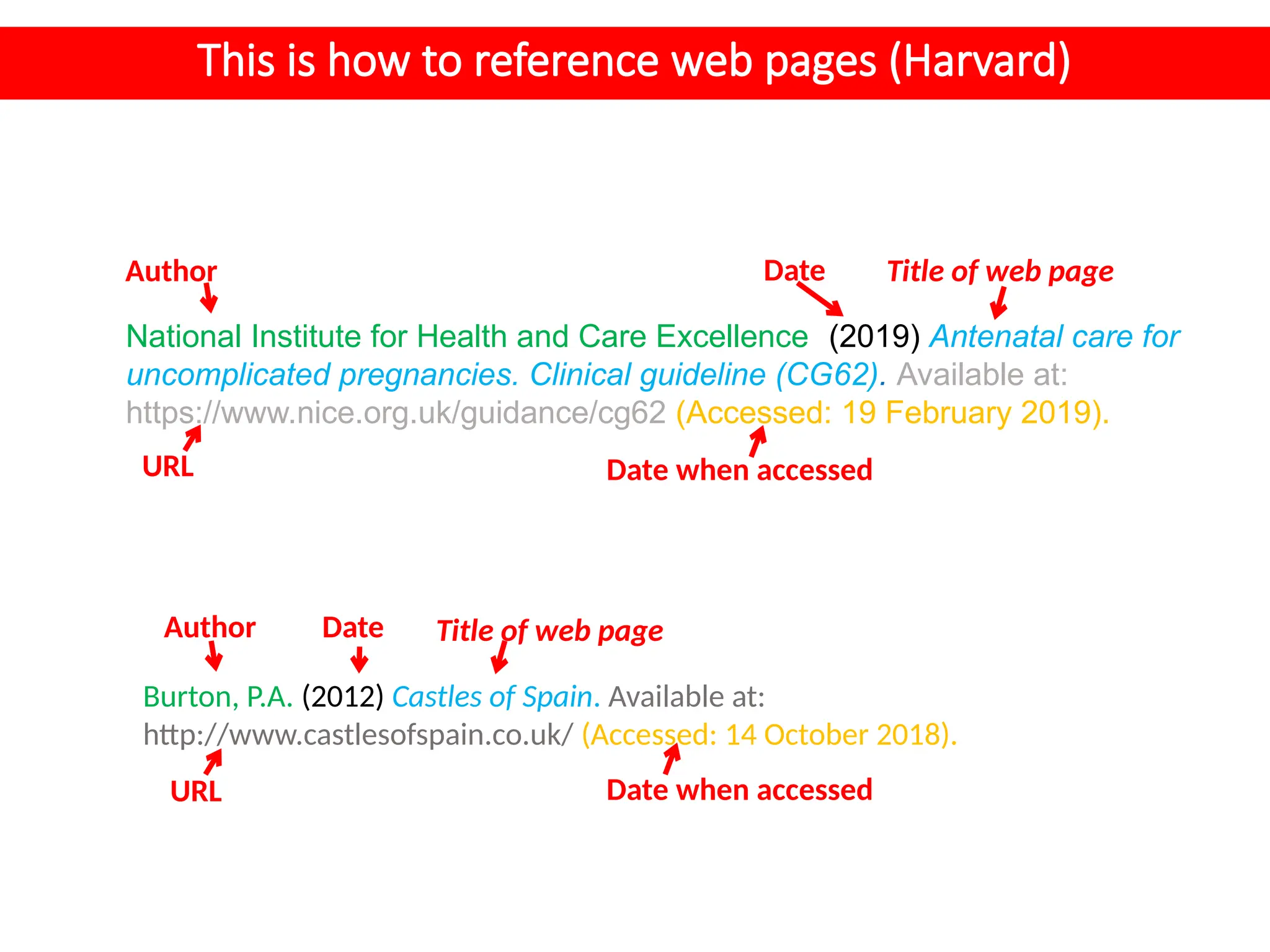 Harvard Referencing The Basics 2024 pptx