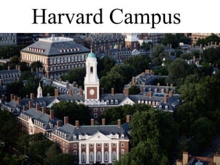 Harvard Library 4am