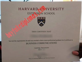 Harvard University Extension School Diploma | PPT
