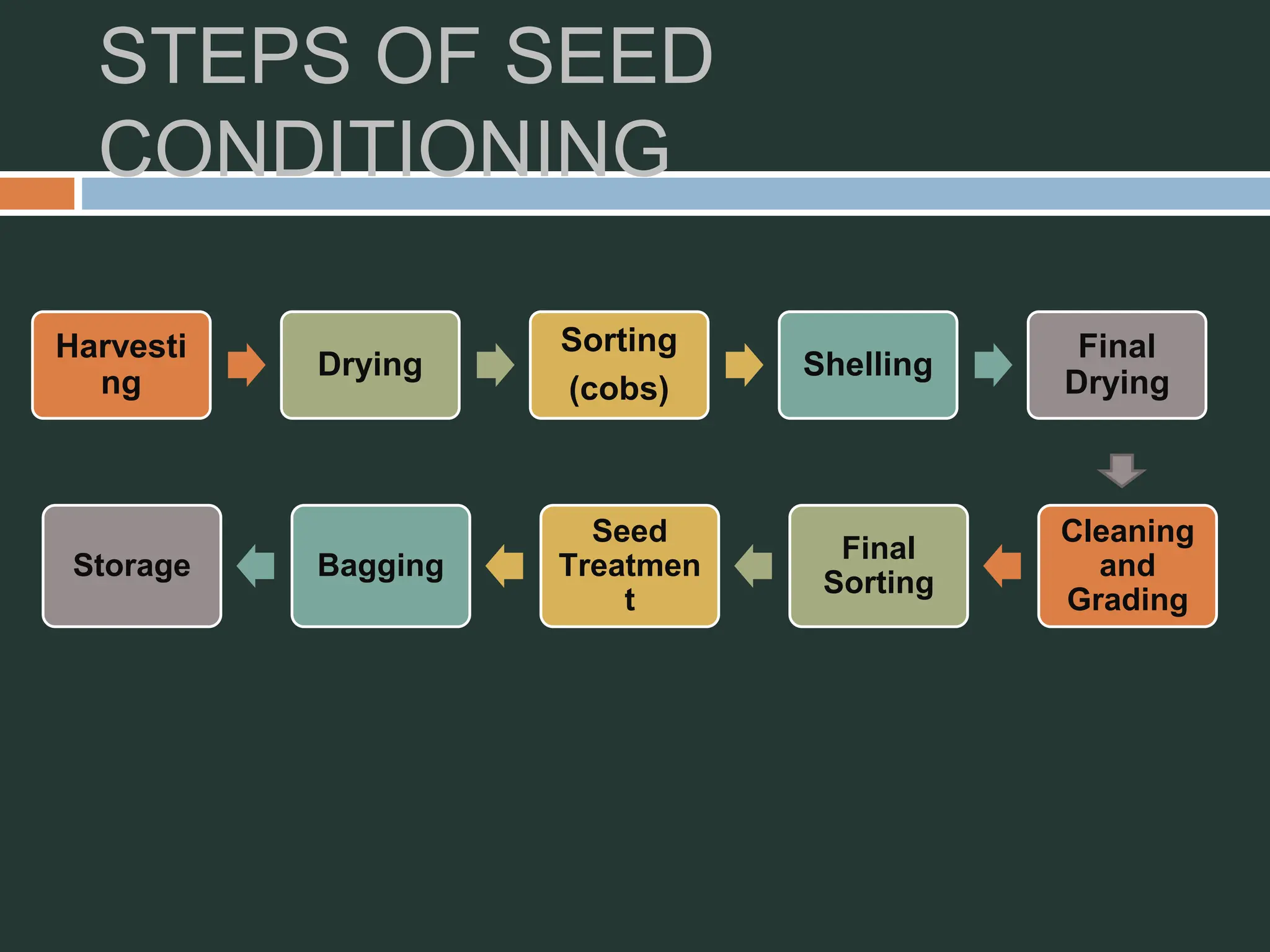 HARVEST-AND-POST-HARVEST-OF-CORN (1).pptx