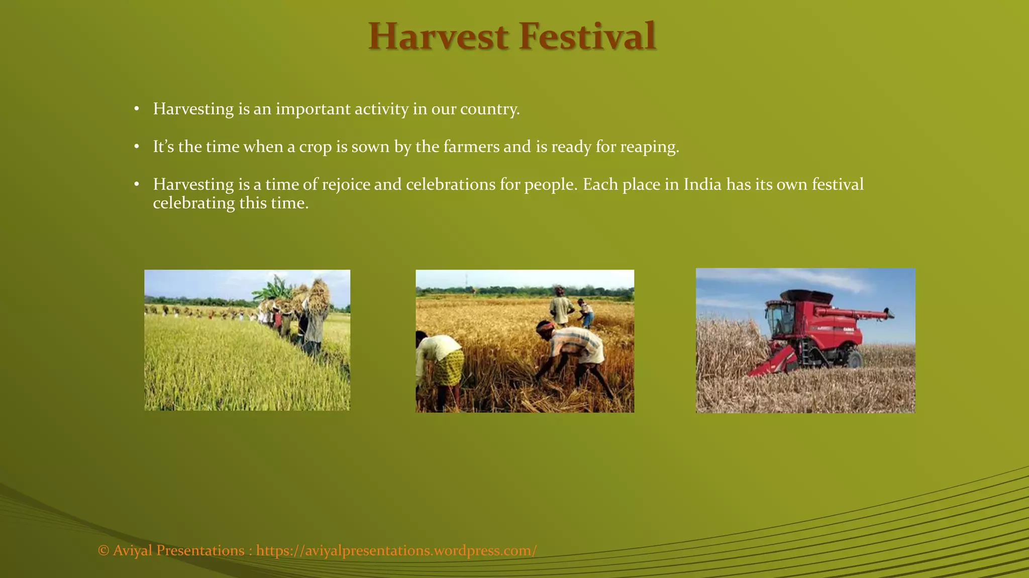 Harvest festivals-of-india | PDF