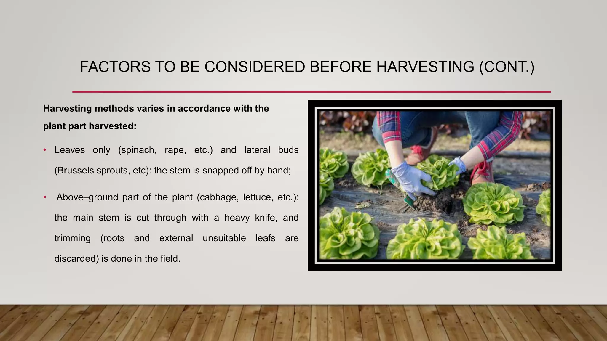 Harvest and post harvest handling of seed crops | PPTX