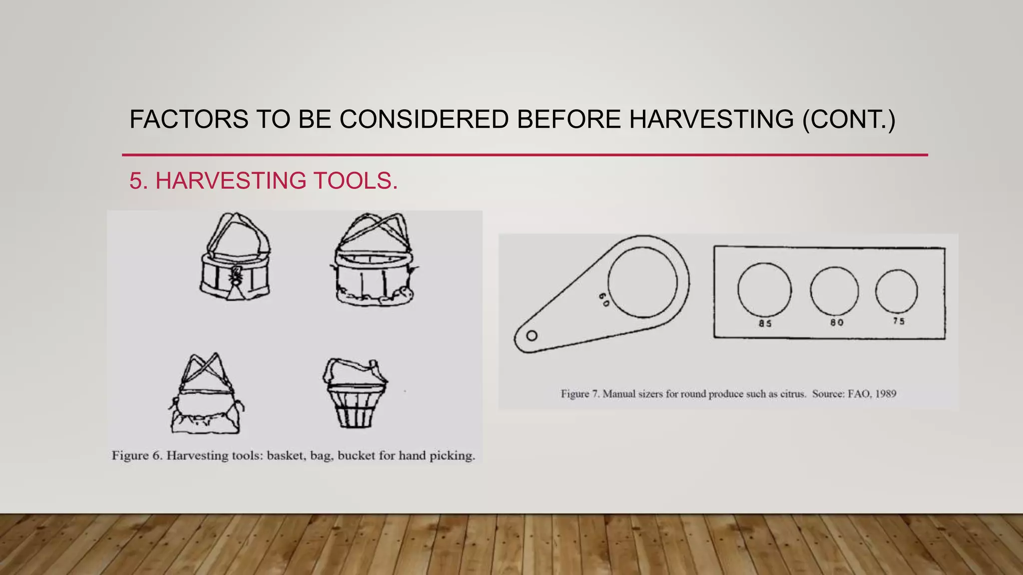 Harvest and post harvest handling of seed crops | PPTX