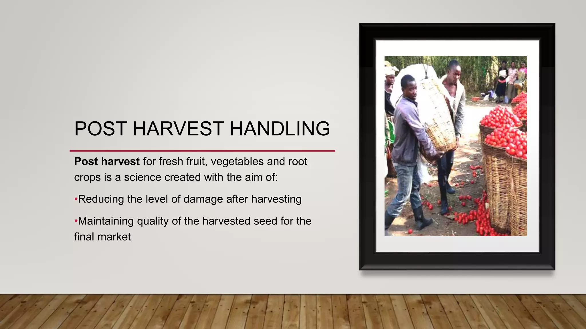 Harvest and post harvest handling of seed crops | PPTX