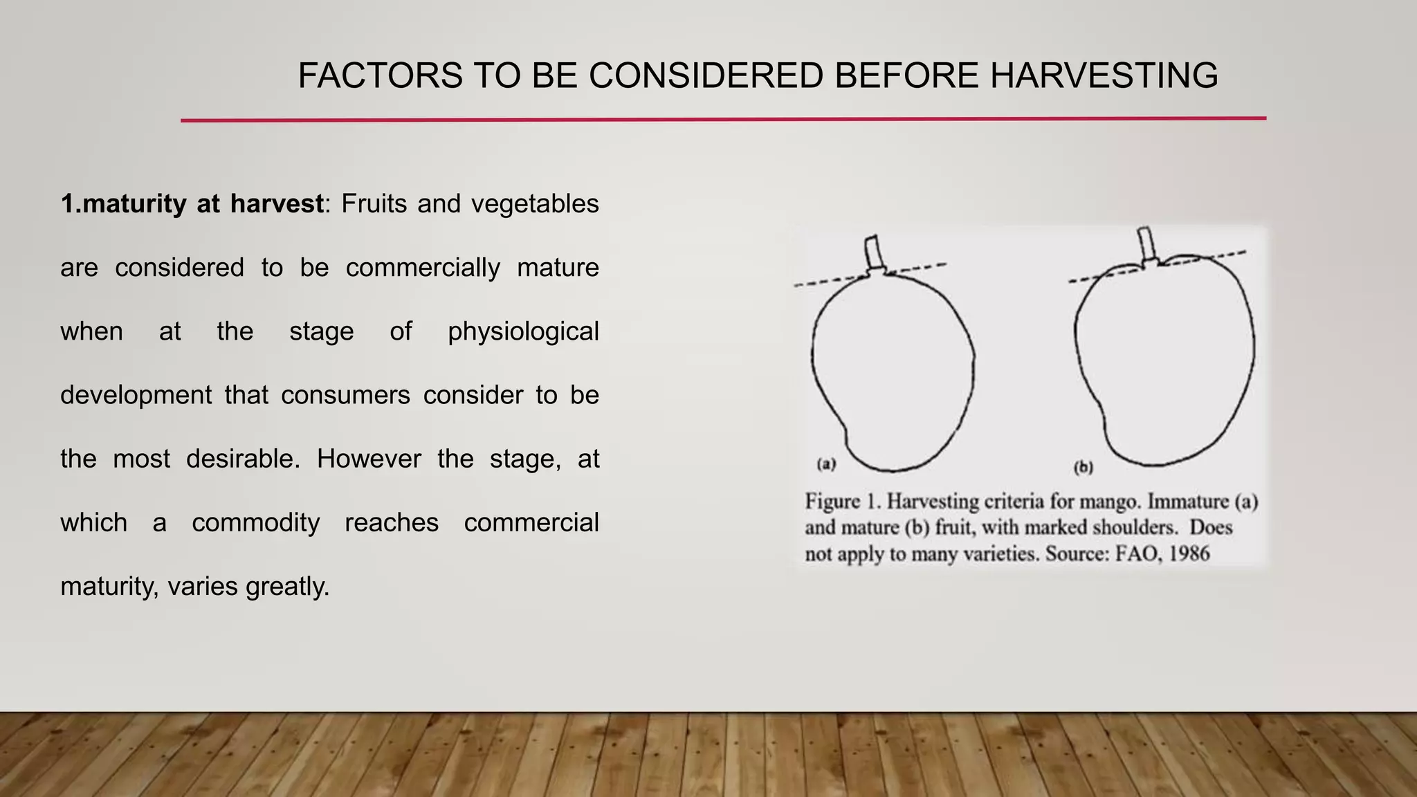 Harvest and post harvest handling of seed crops | PPTX