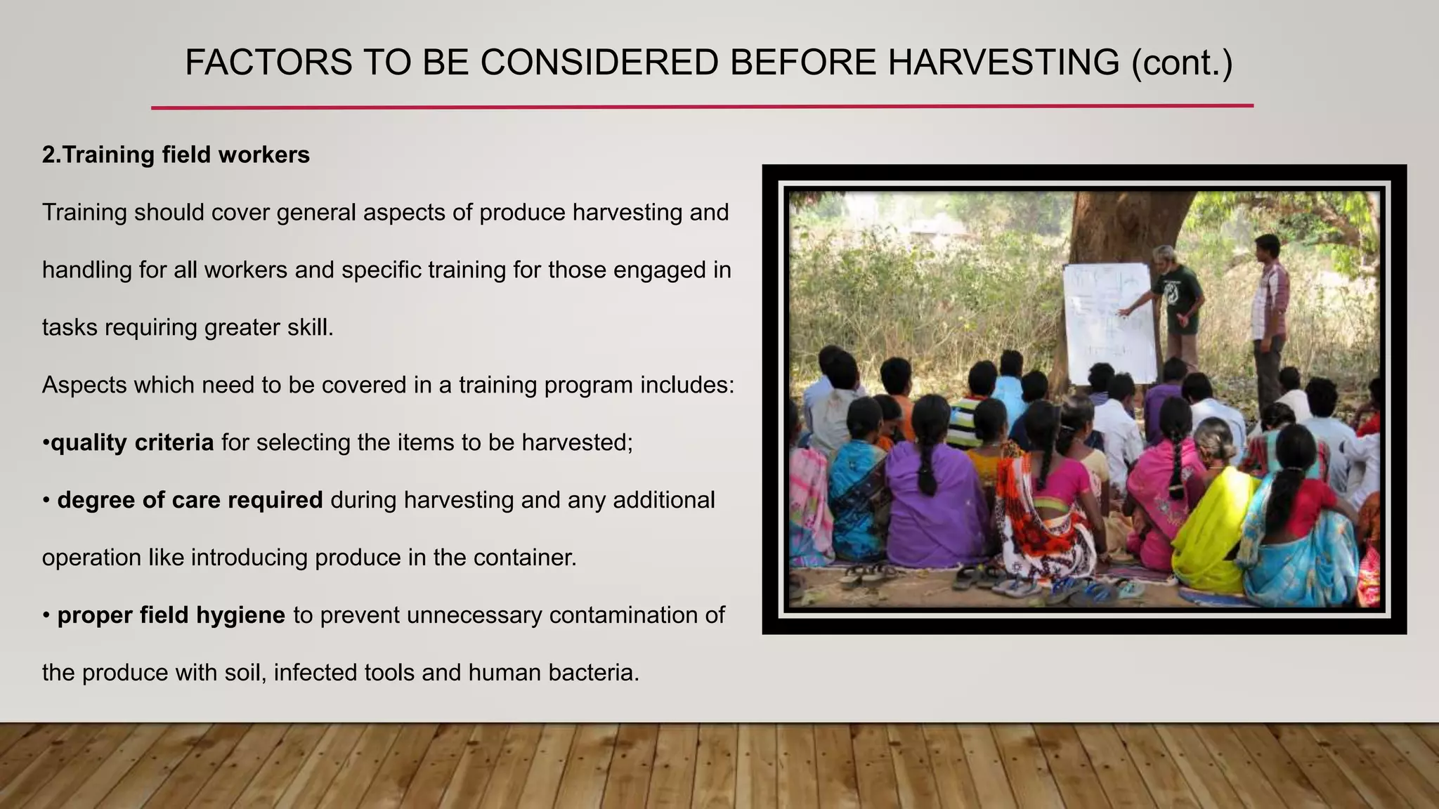 Harvest and post harvest handling of seed crops | PPTX