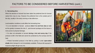Harvest and post harvest handling of seed crops | PPTX