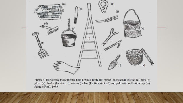 Harvest and post harvest handling of seed crops | PPTX