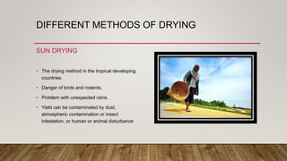 Harvest and post harvest handling of seed crops | PPTX