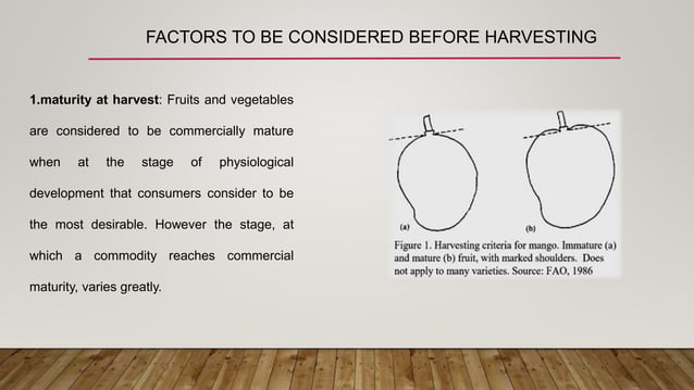 Harvest and post harvest handling of seed crops | PPTX