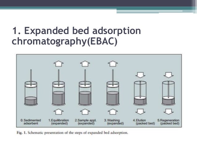 Harvest and Purify protein techniques