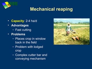 Harvesting | PPT