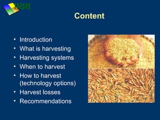 Harvesting | PPT