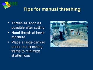 Harvesting | PPT